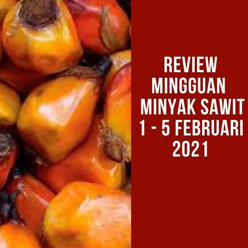 Harga Sawit Turun, Apa yang Harus Dilakukan?